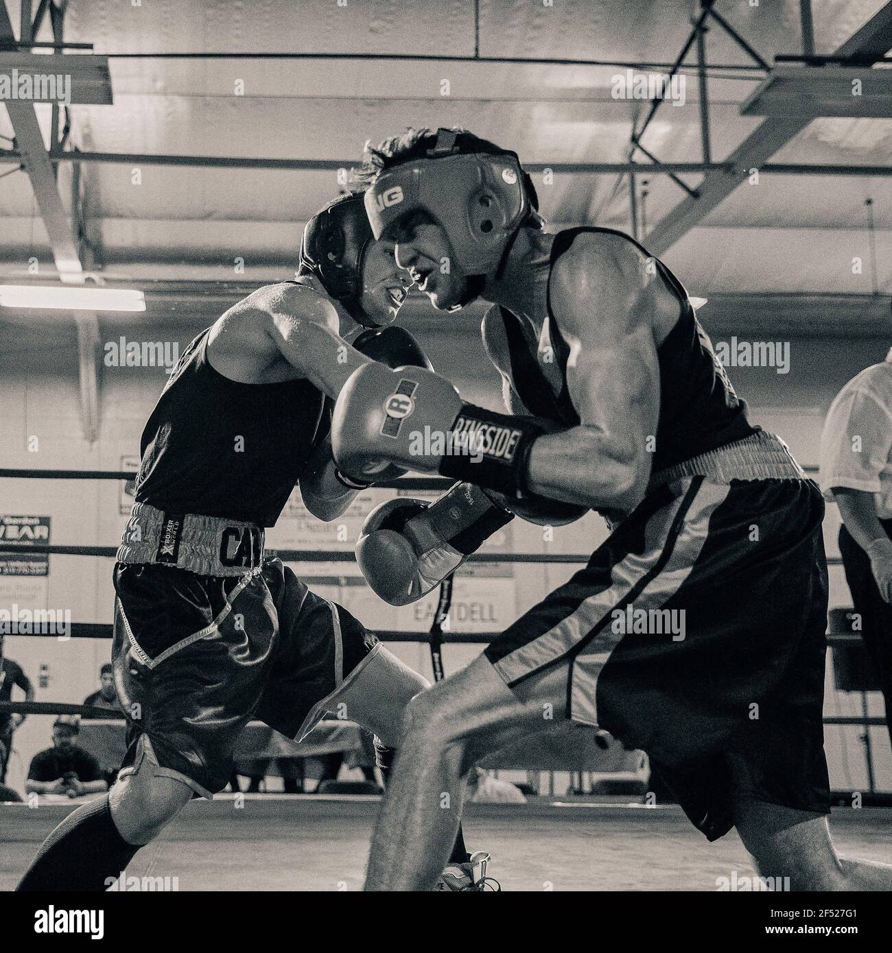 Amateur boxing match Stock Photo - Alamy