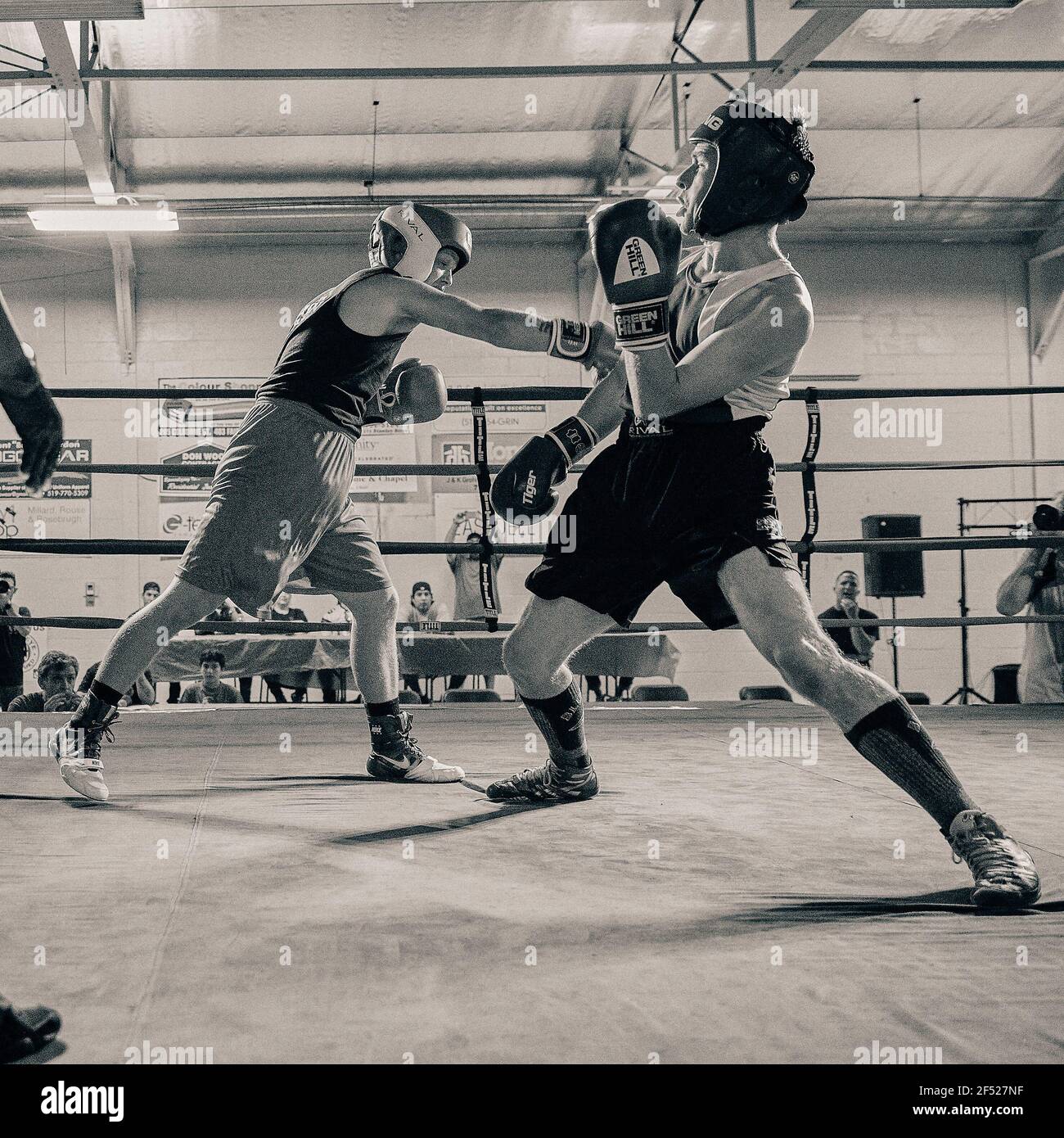 Amateur boxing match Stock Photo - Alamy