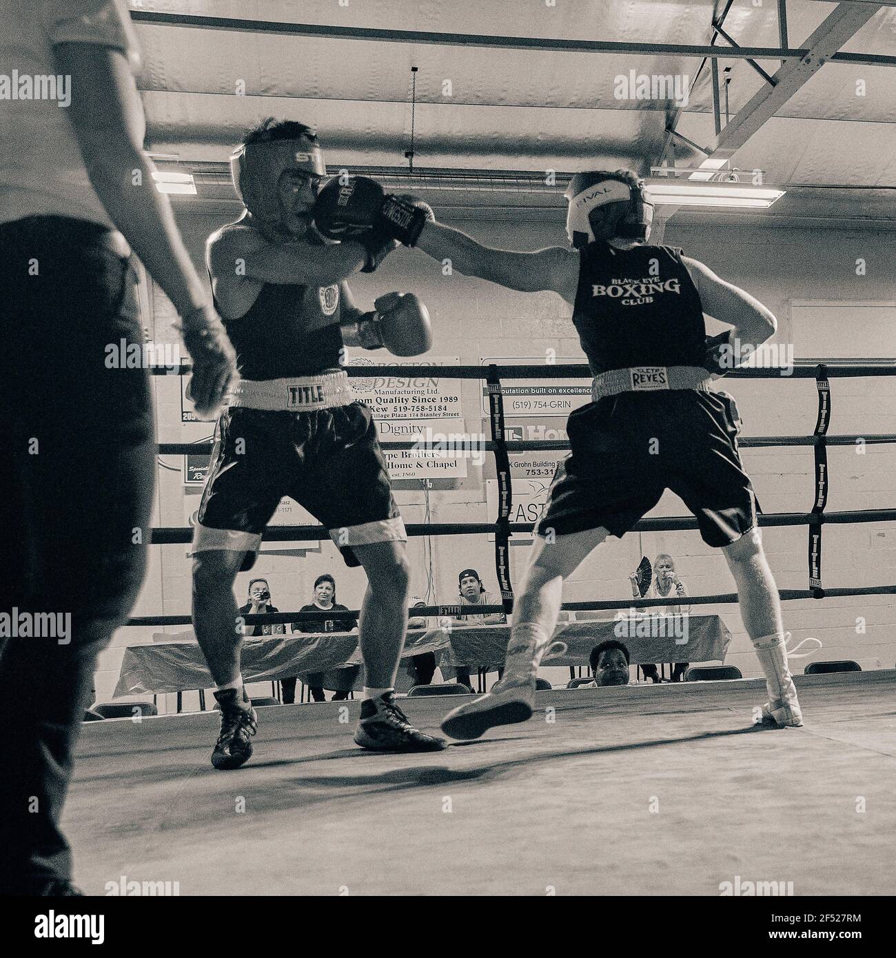 Amateur boxing match Stock Photo - Alamy