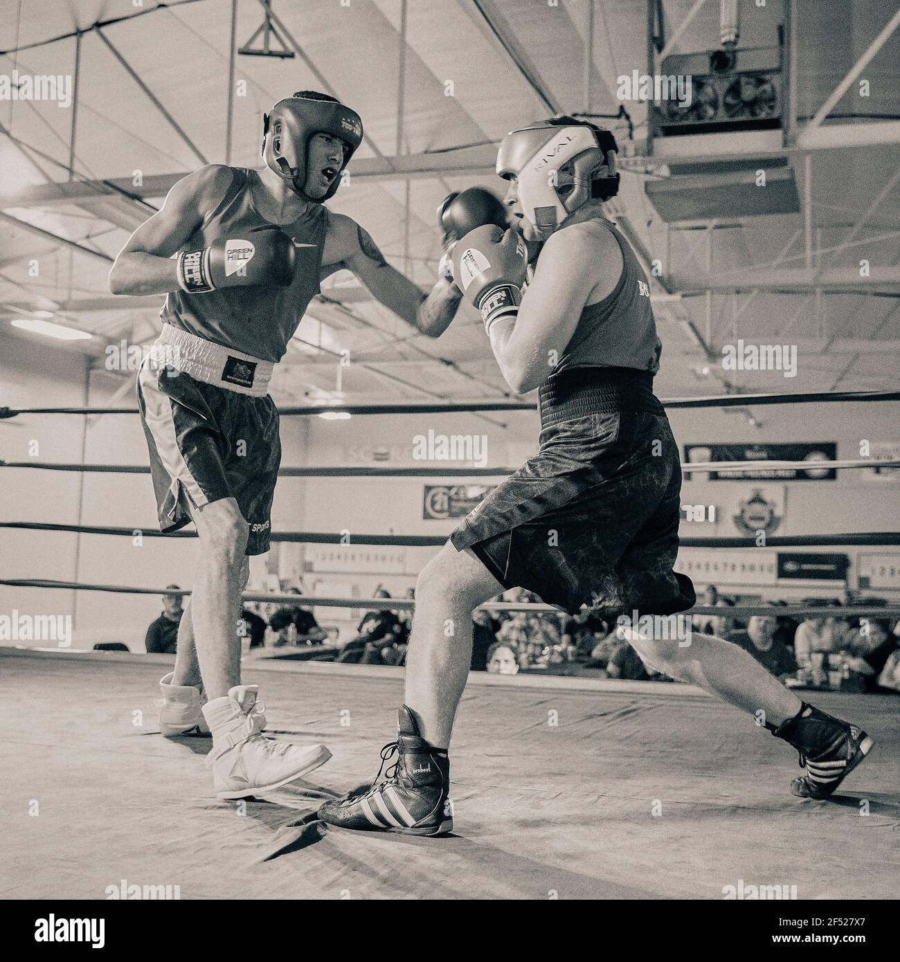 Amateur boxing match Stock Photo - Alamy
