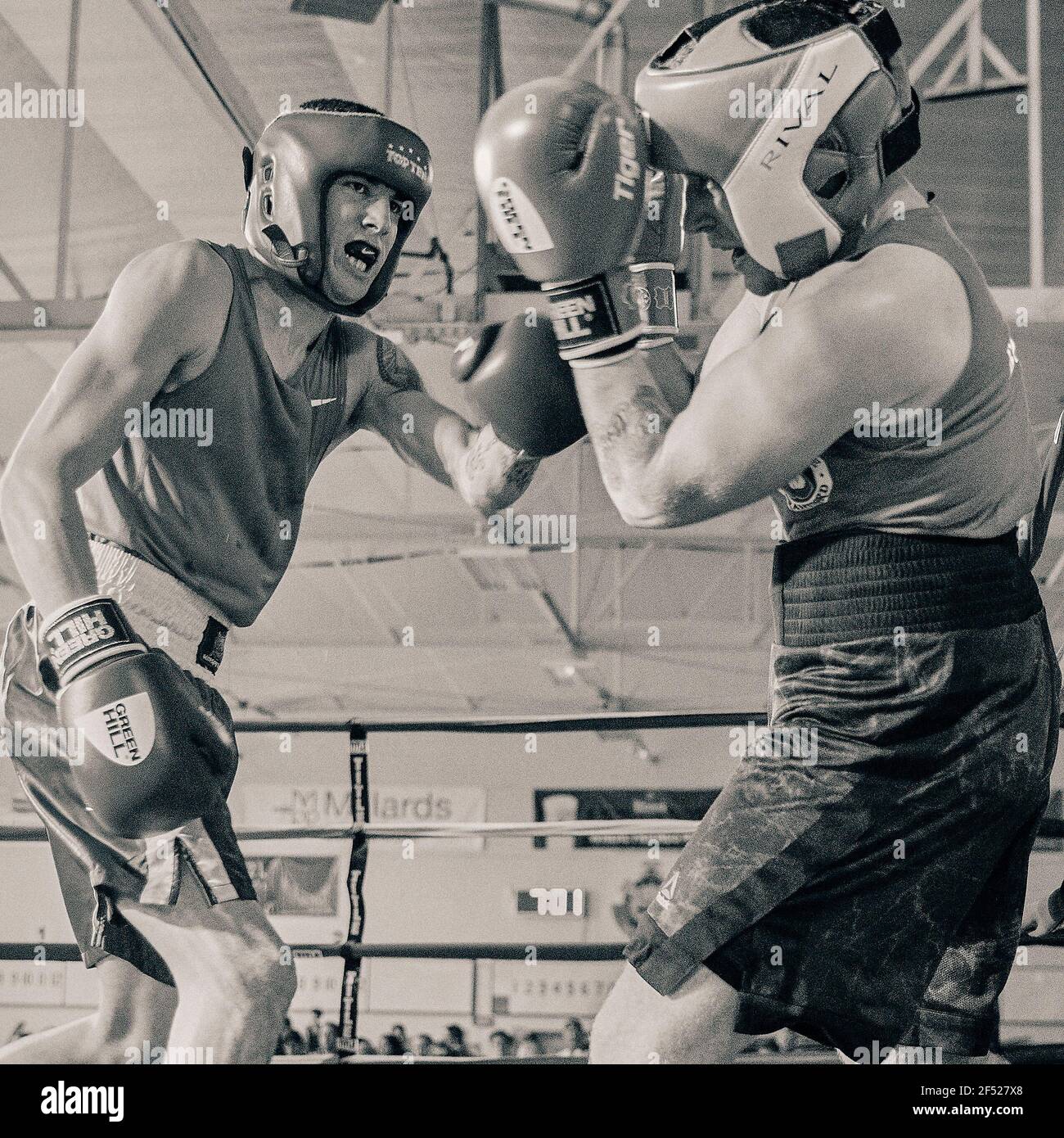 Amateur boxing match Stock Photo - Alamy
