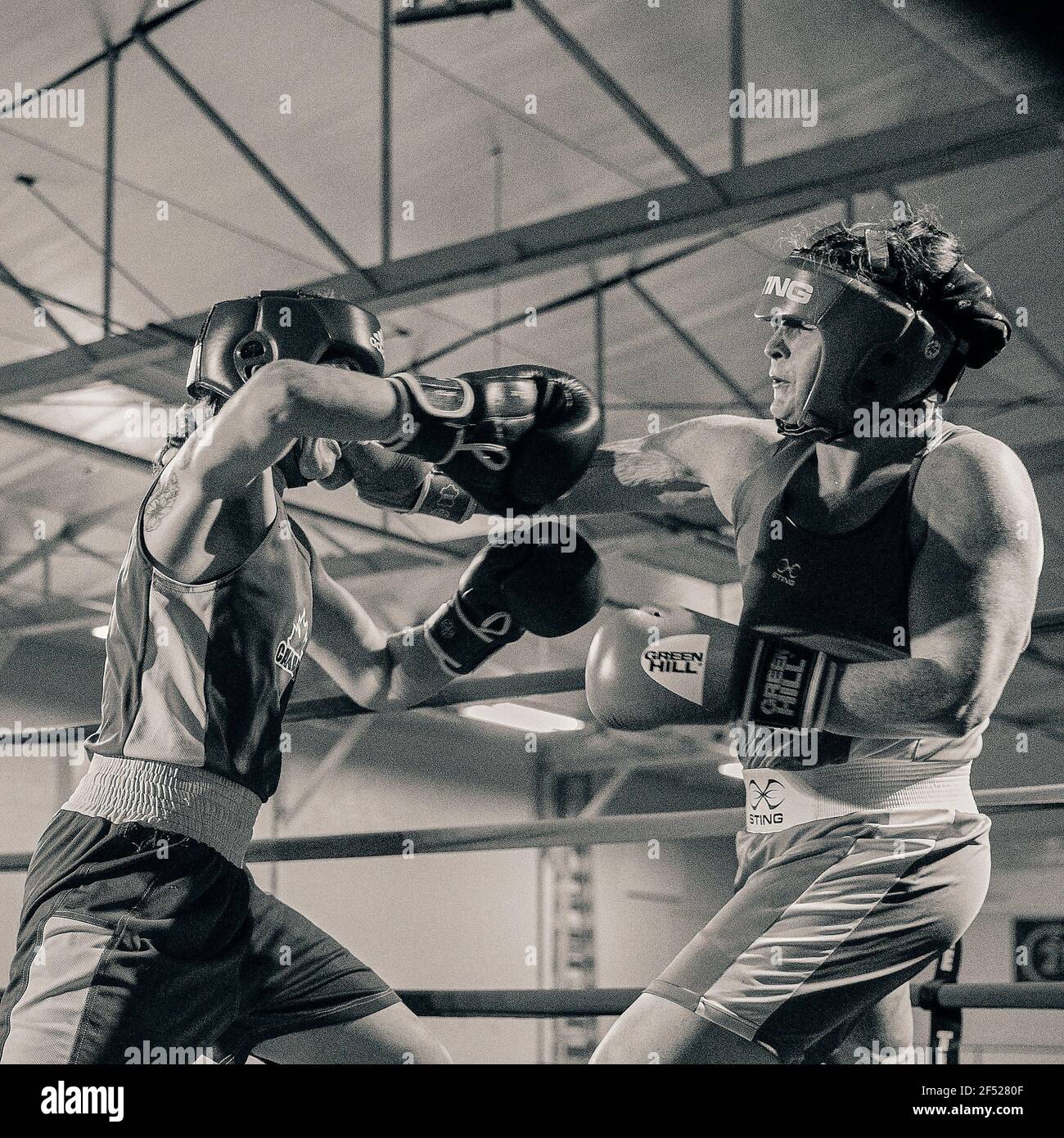 Amateur boxing match Stock Photo - Alamy