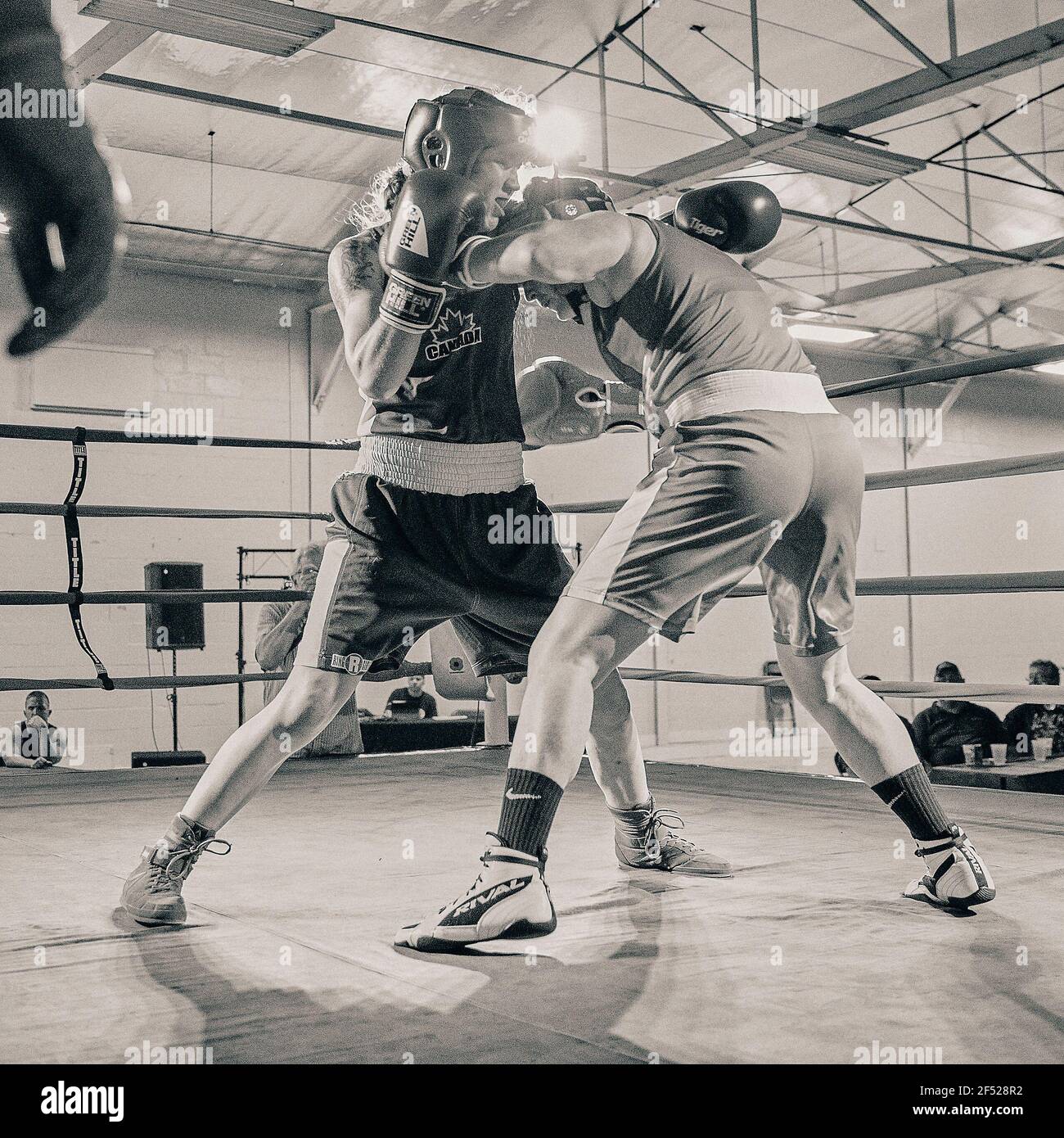 Amateur boxing match Stock Photo - Alamy