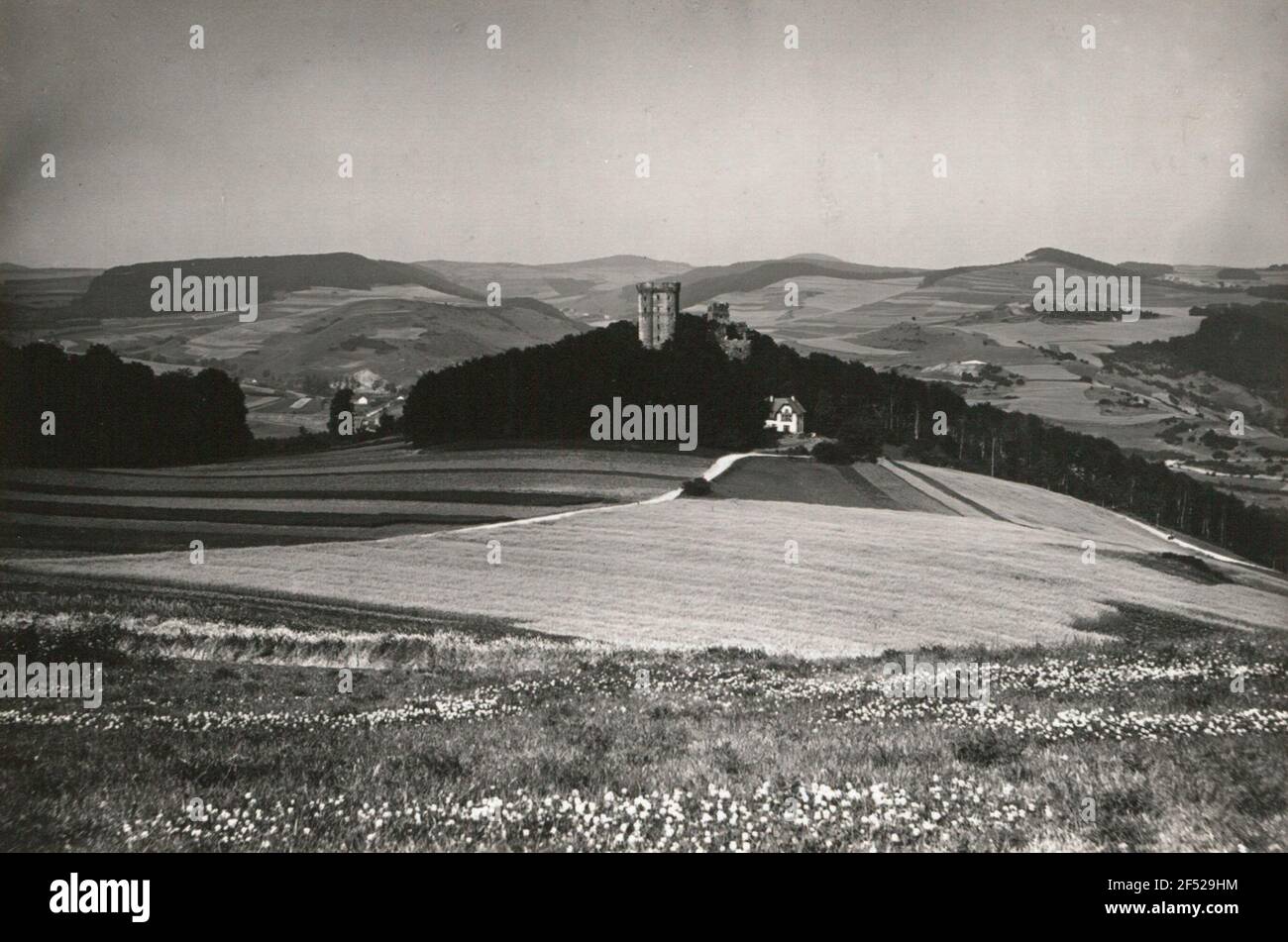 Near gerolstein hi-res stock photography and images - Alamy