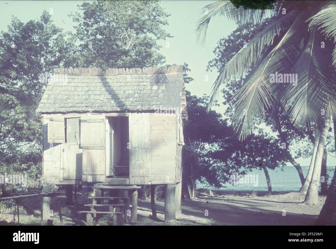 Travel photos. Wooden pile hut with palm (maybe in Haiti). View to the ...