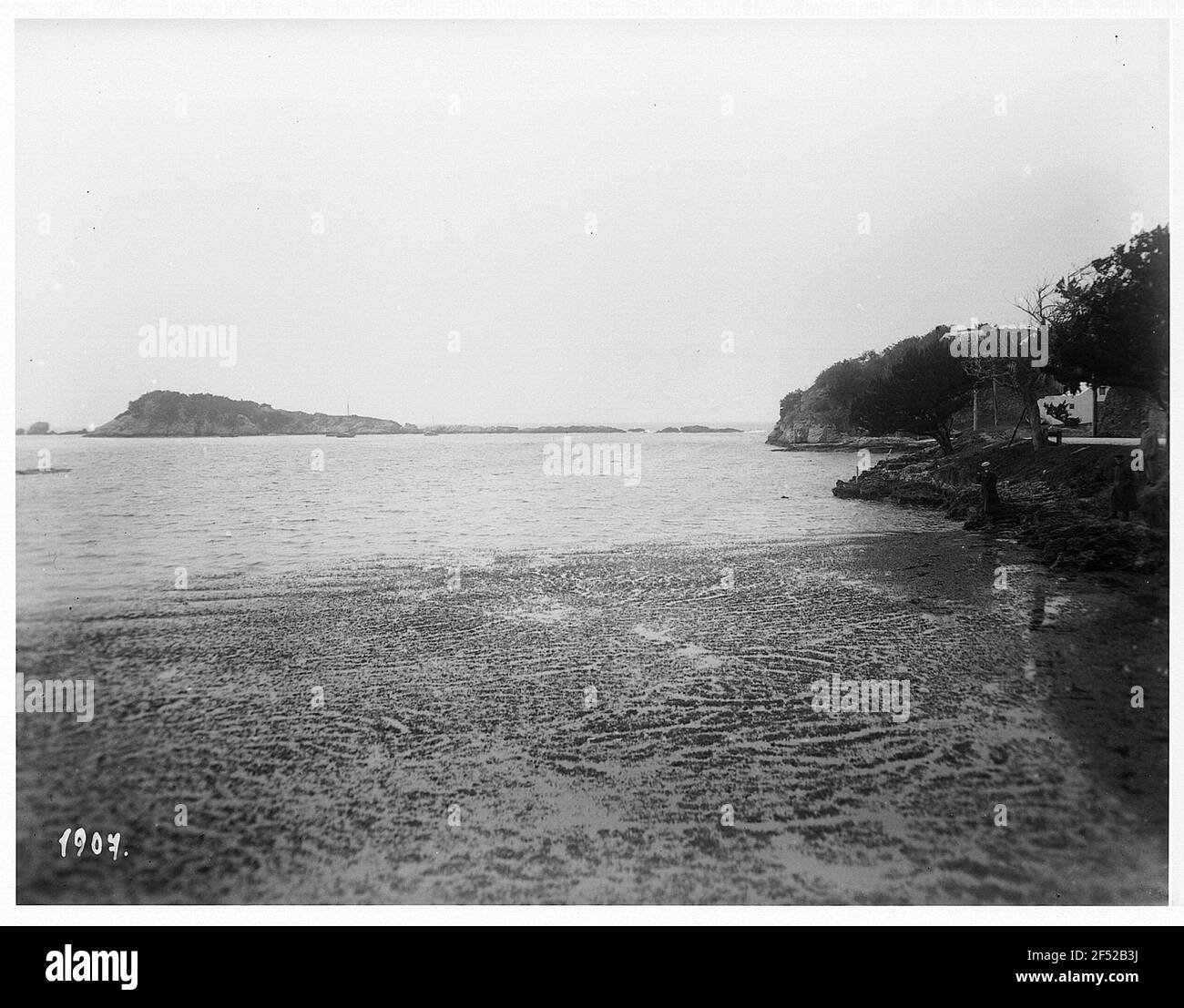 Bermuda nature Black and White Stock Photos & Images - Alamy