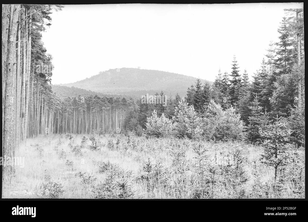 Pen drawing techniques Black and White Stock Photos & Images - Alamy