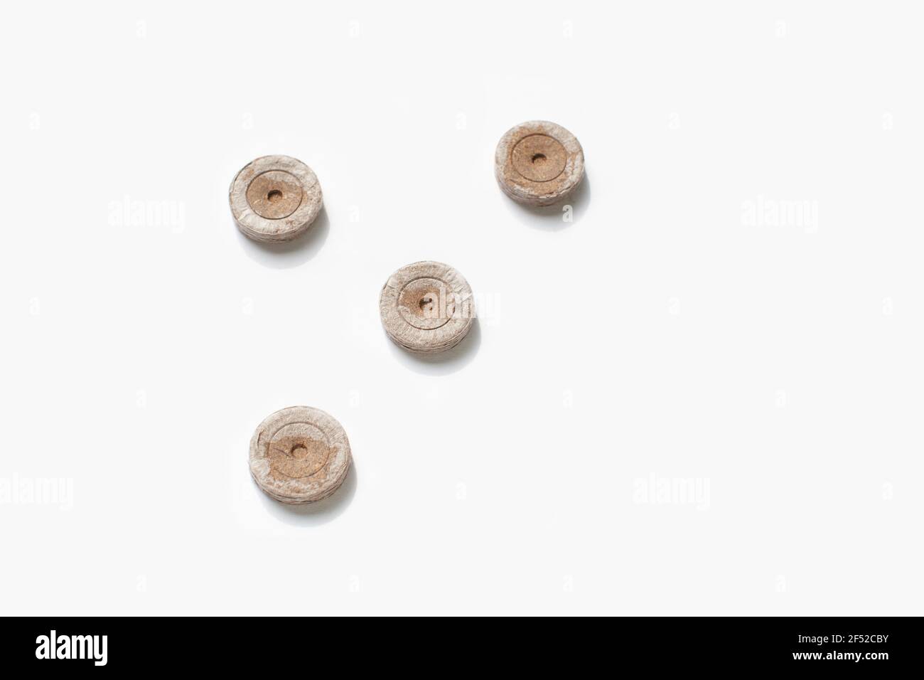 Isolated compacted peat pellets (pod) for seed starting are used by ...