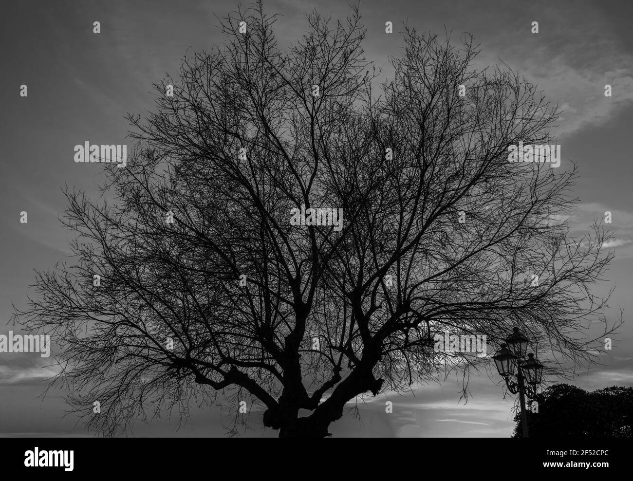 Against a wood background Black and White Stock Photos & Images - Alamy