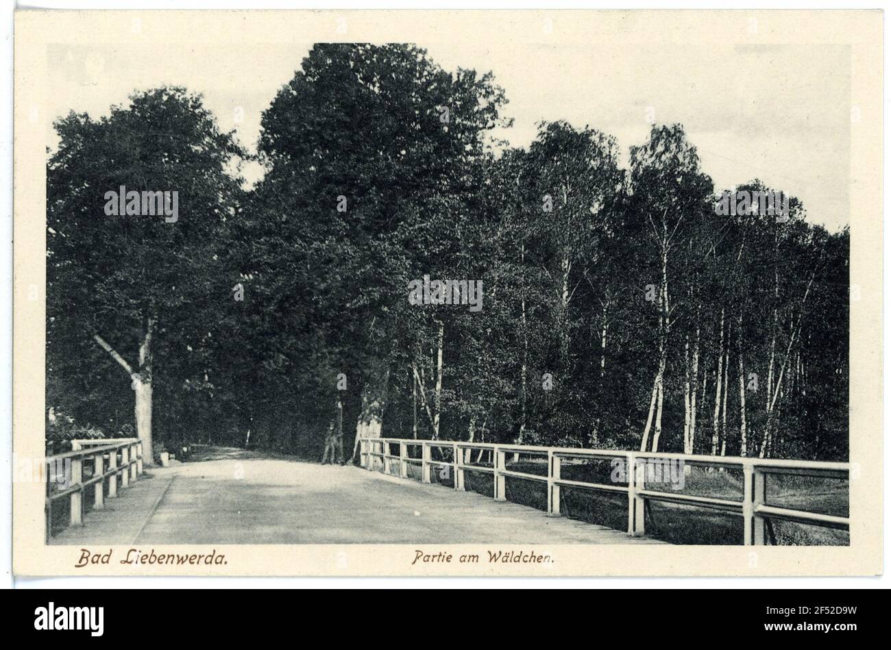 German grove Cut Out Stock Images & Pictures - Alamy