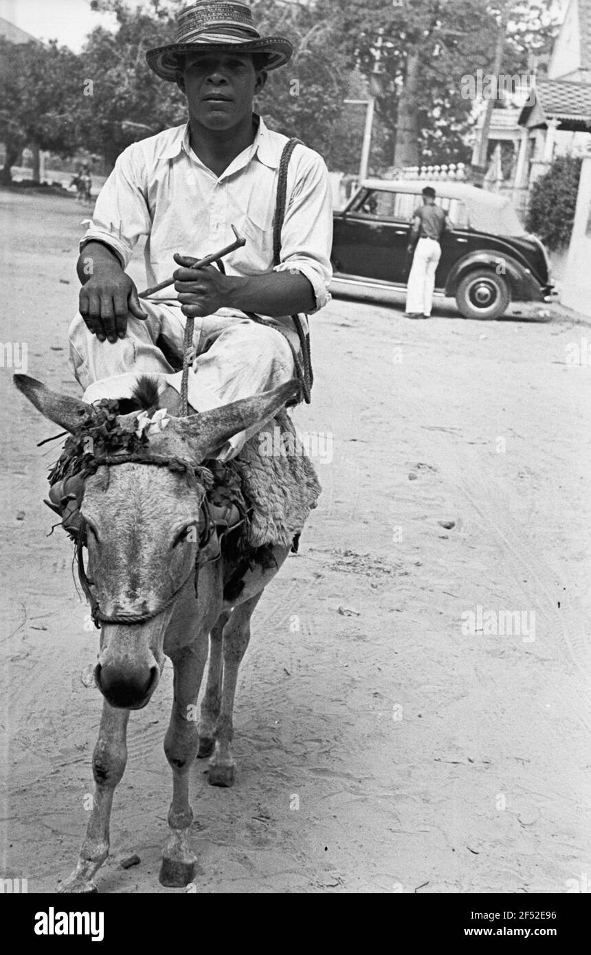 Donkey rider hi-res stock photography and images - Alamy