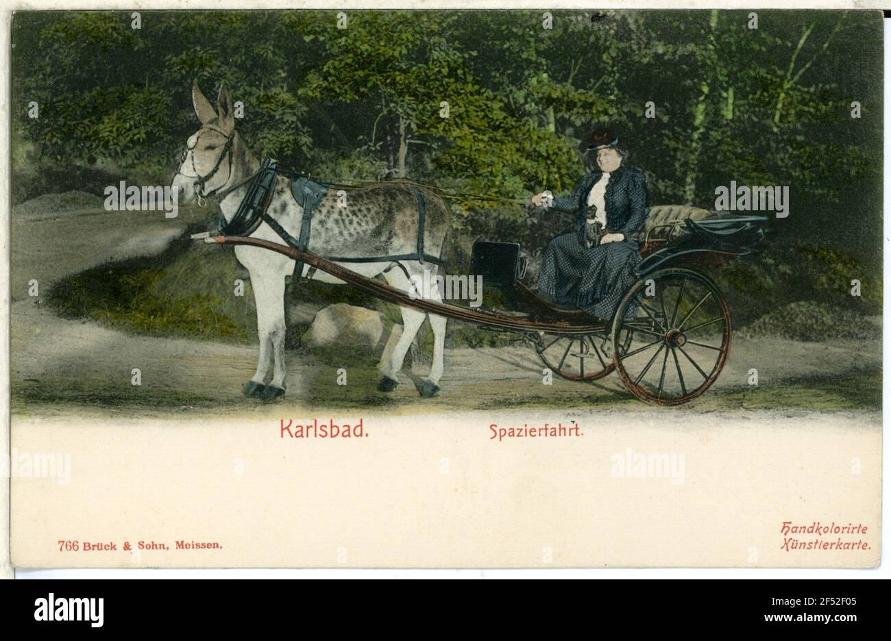 Donkey team hi-res stock photography and images - Alamy