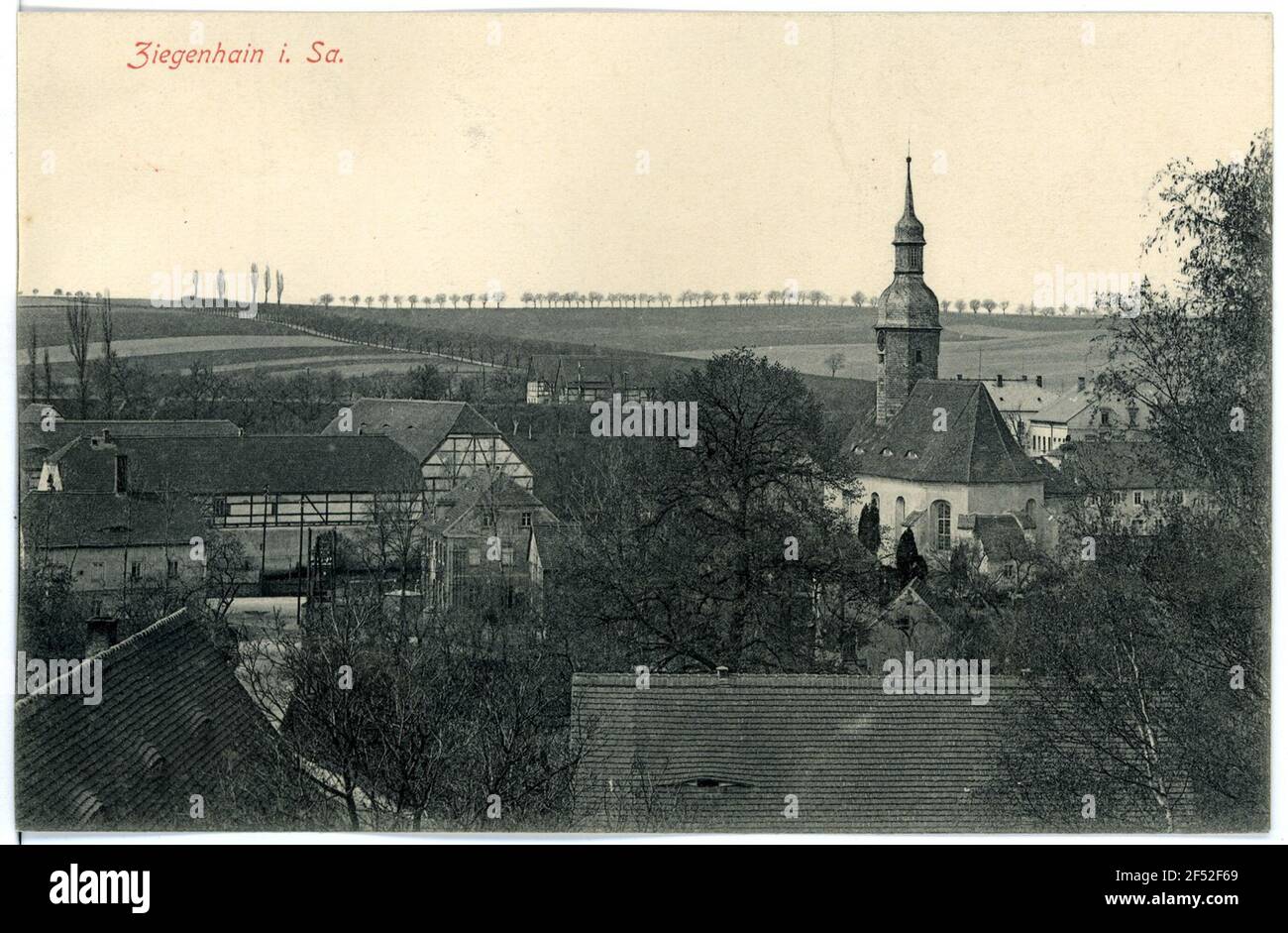 View of goat grove Goatshain. View of goat grove Stock Photo - Alamy