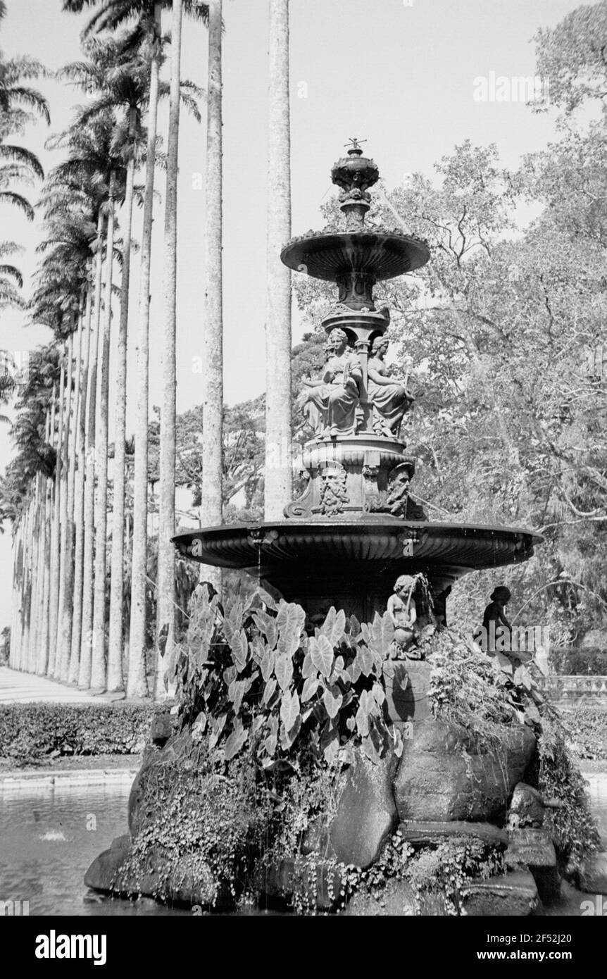 Feature display sculpture decorative Black and White Stock Photos ...