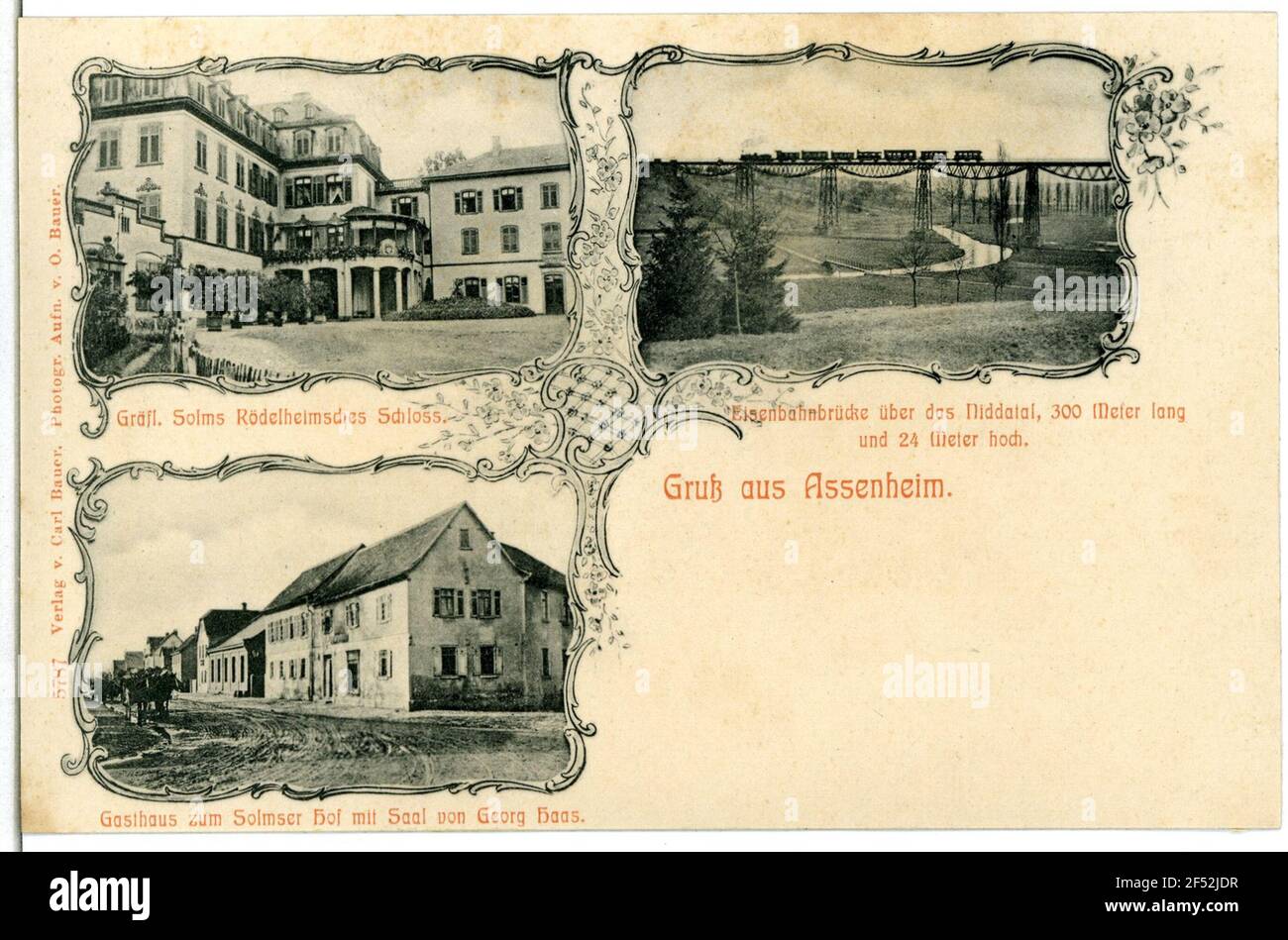 Assenheim hi-res stock photography and images - Alamy