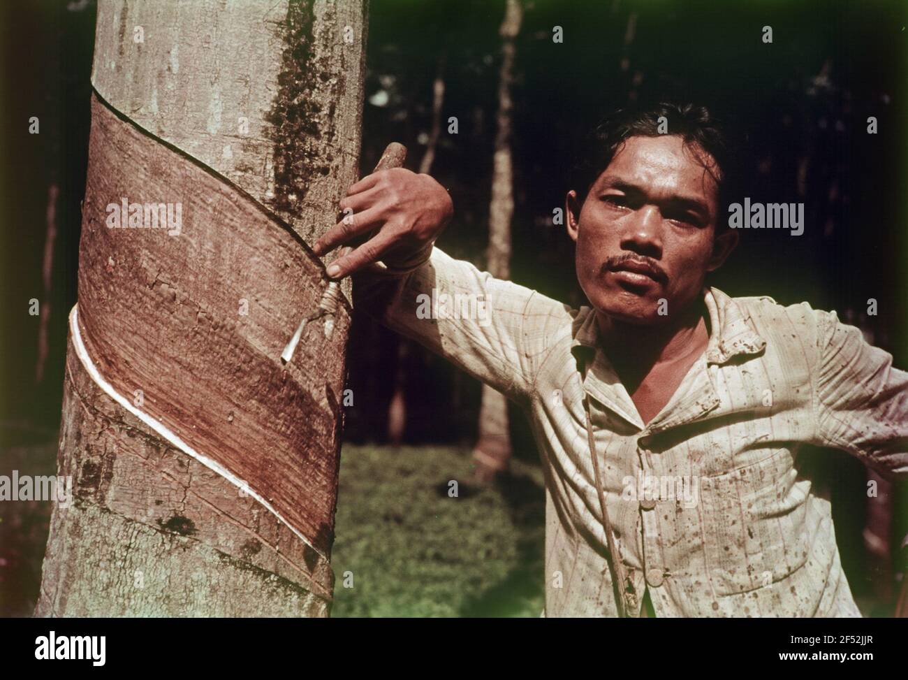 Rubber materials hi-res stock photography and images - Alamy