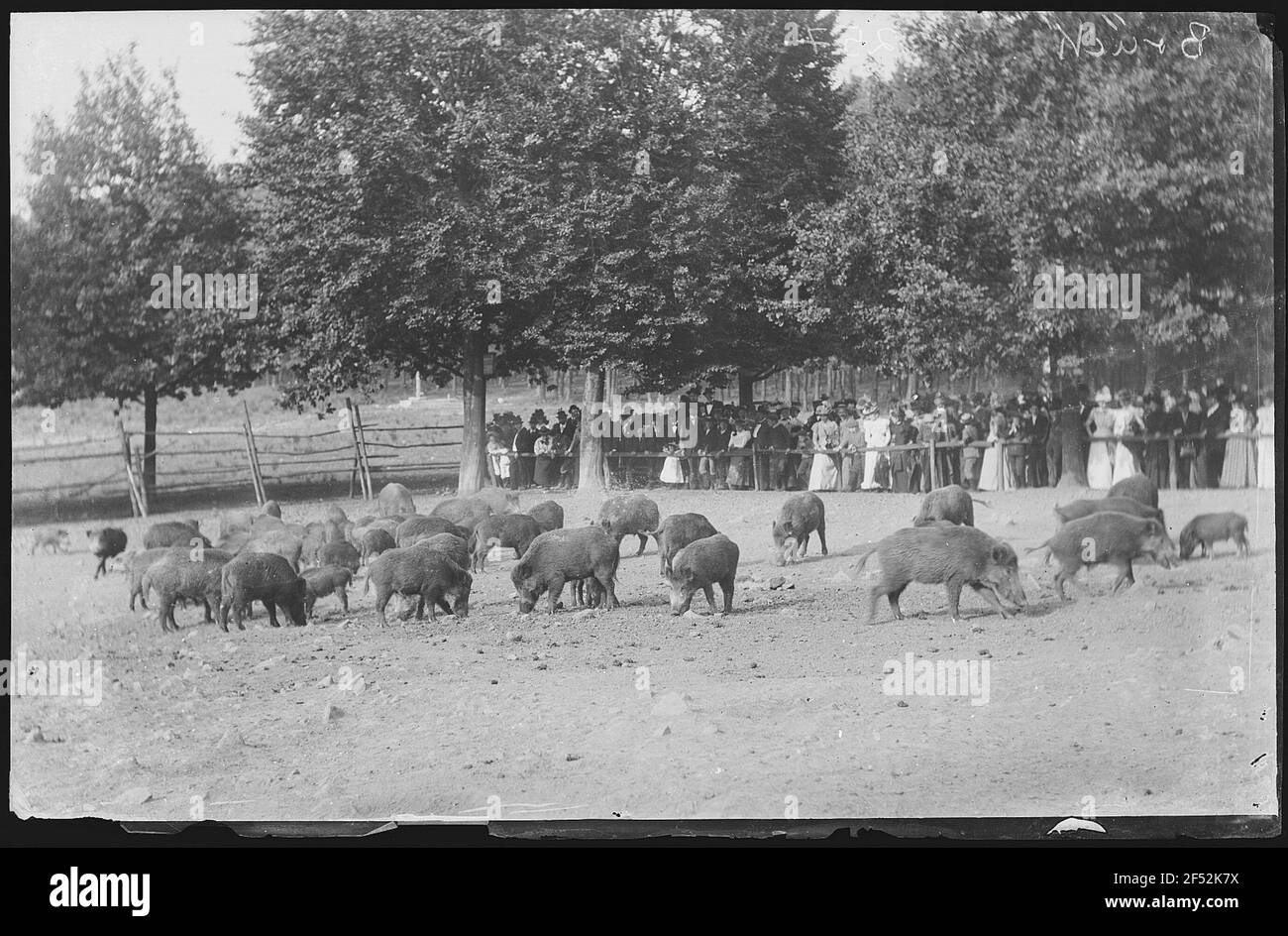 German feeding Black and White Stock Photos & Images - Alamy