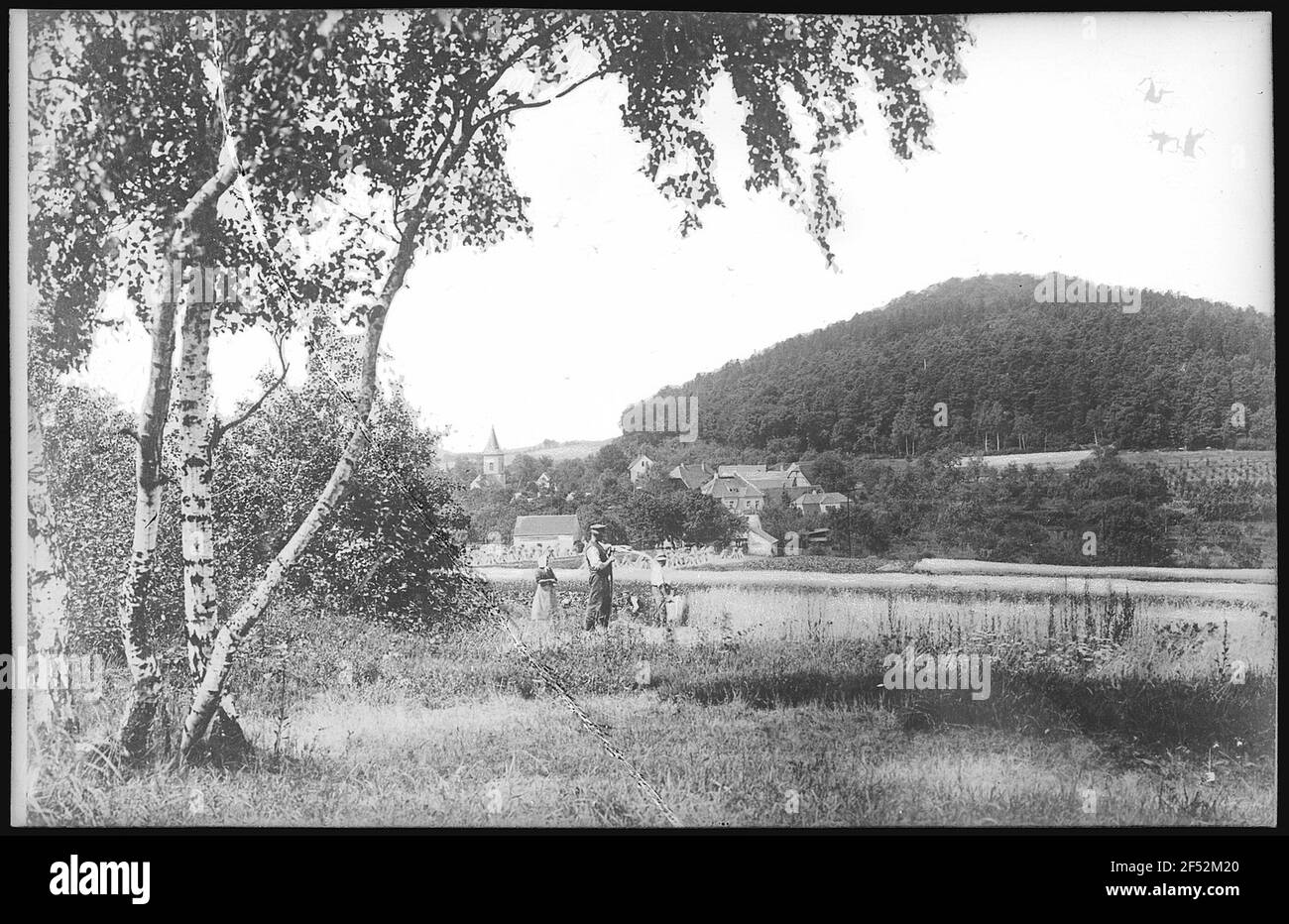 Pen drawing techniques Black and White Stock Photos & Images - Alamy