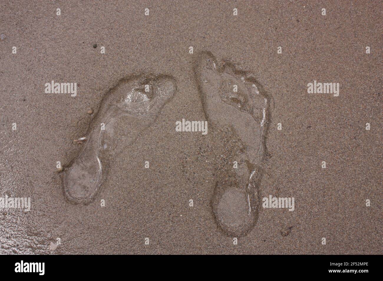 Top view of footprints on the sandy shore Stock Photo - Alamy