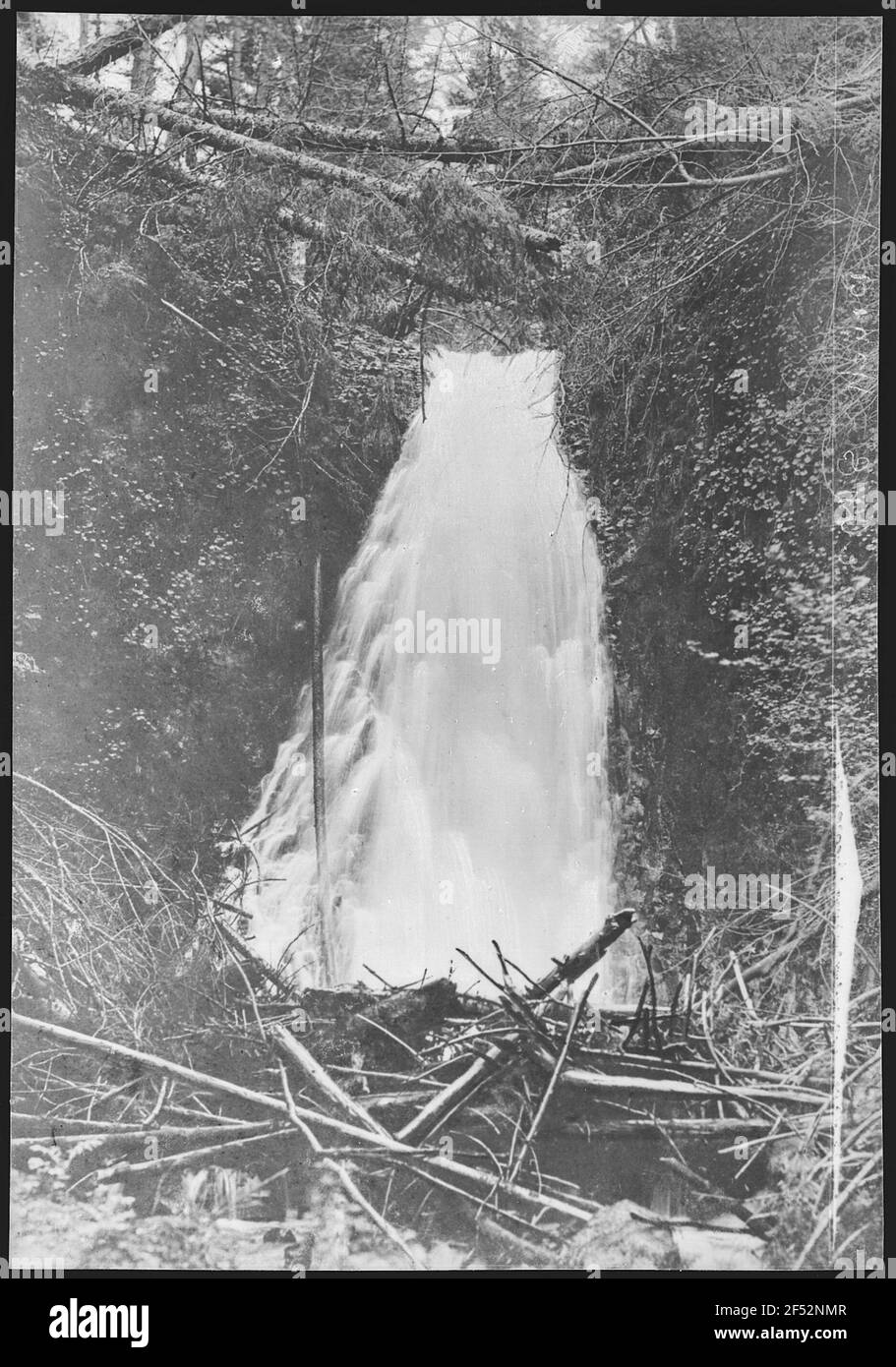 Waha Black and White Stock Photos & Images - Alamy