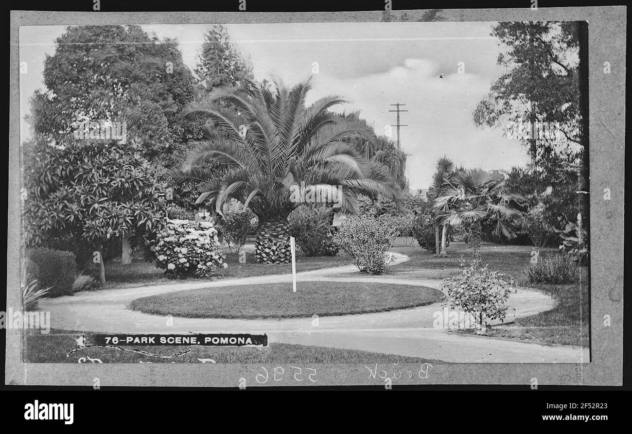 Cal scene Black and White Stock Photos & Images - Alamy