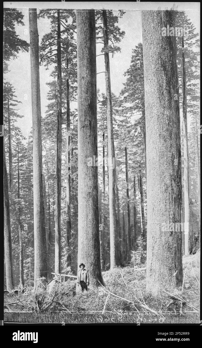 Biodiversity glimpse Black and White Stock Photos & Images - Alamy