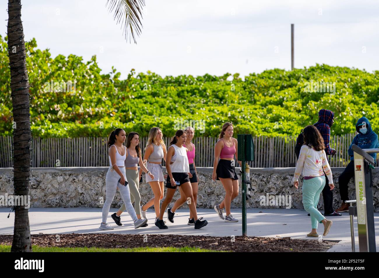 Group of women in Miami Beach Spring Break 2021 Stock Photo - Alamy