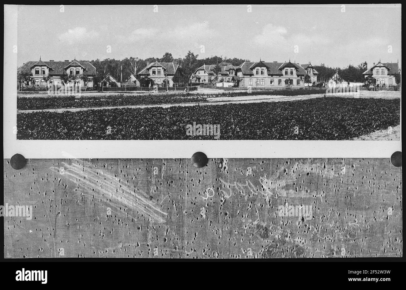 Health experience Black and White Stock Photos & Images - Alamy