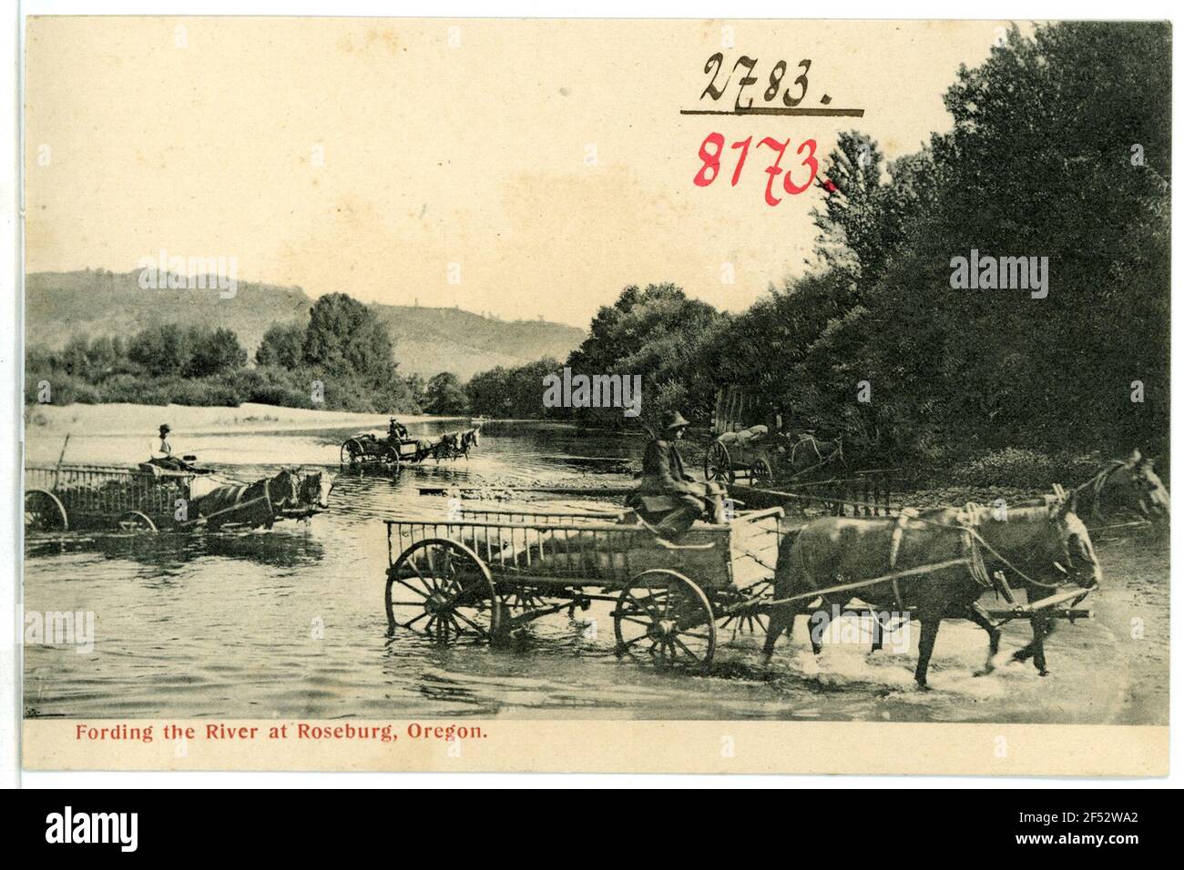 Fording the River Roseburg, Oregon. Fording the River Stock Photo - Alamy