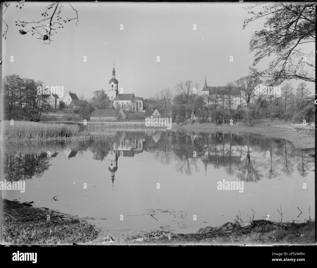 Animal scenes Black and White Stock Photos & Images - Alamy