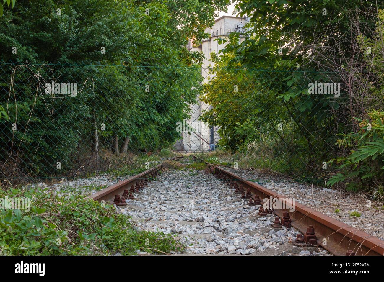 Old rusty railroad tracks with trees and greenery on the side Stock ...