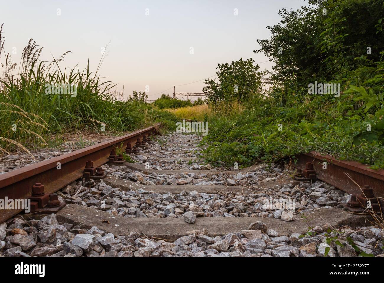 Old rusty railroad tracks with trees and greenery on the side Stock ...