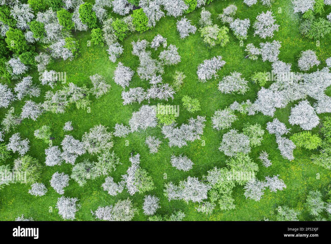 Beautiful scenery view hi-res stock photography and images - Alamy