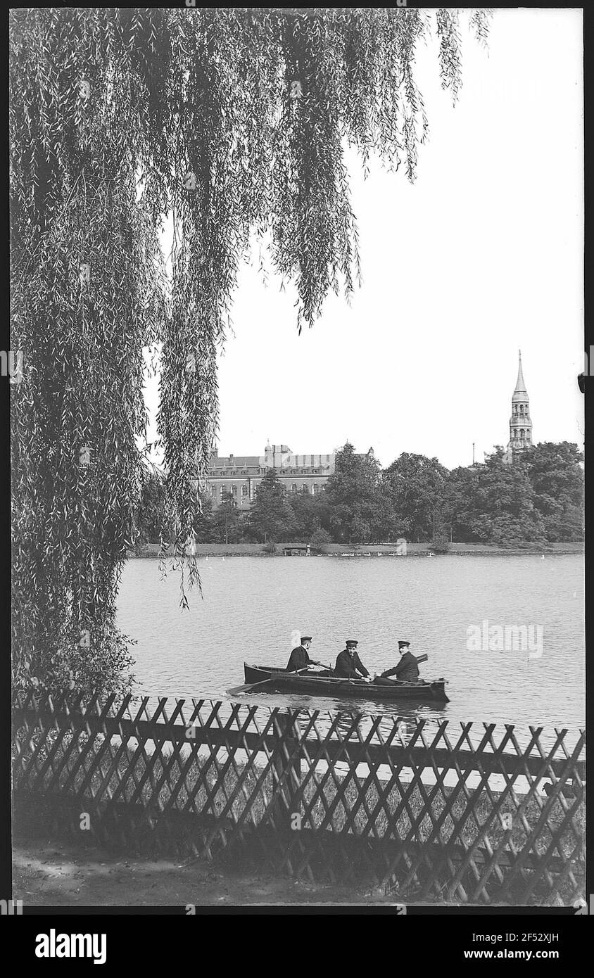 German swan Black and White Stock Photos & Images - Alamy