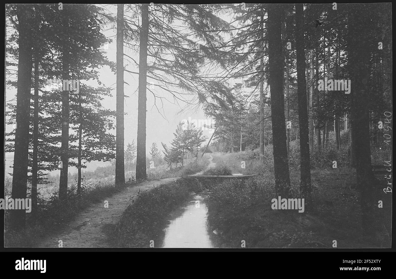 Geising. Am Aschergraben Stock Photo - Alamy