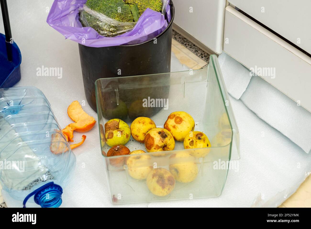 Apples gone off and trash on the kitchen floor, indoor closeup Stock ...