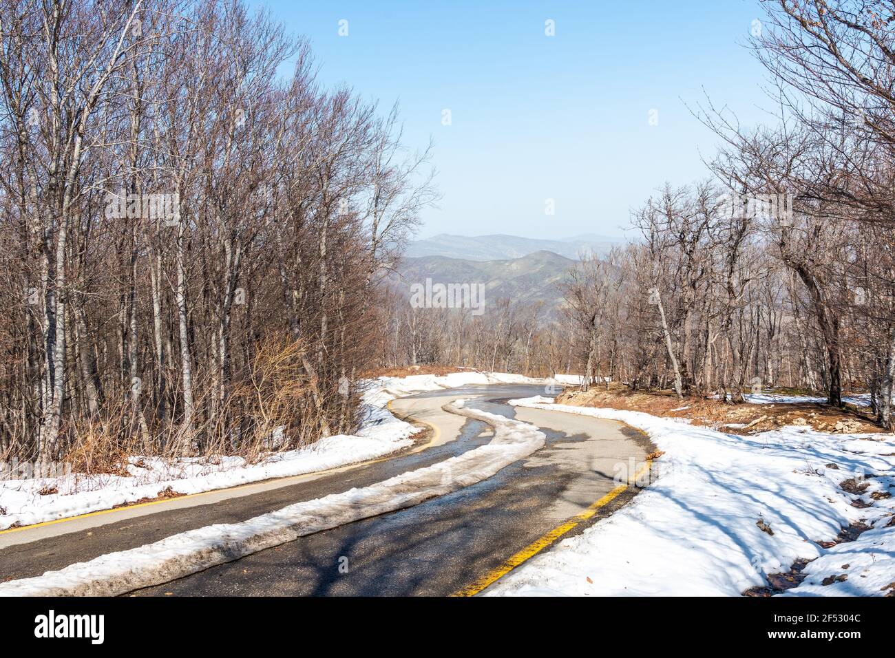 Snow covered asphalt road in forest Stock Photo - Alamy