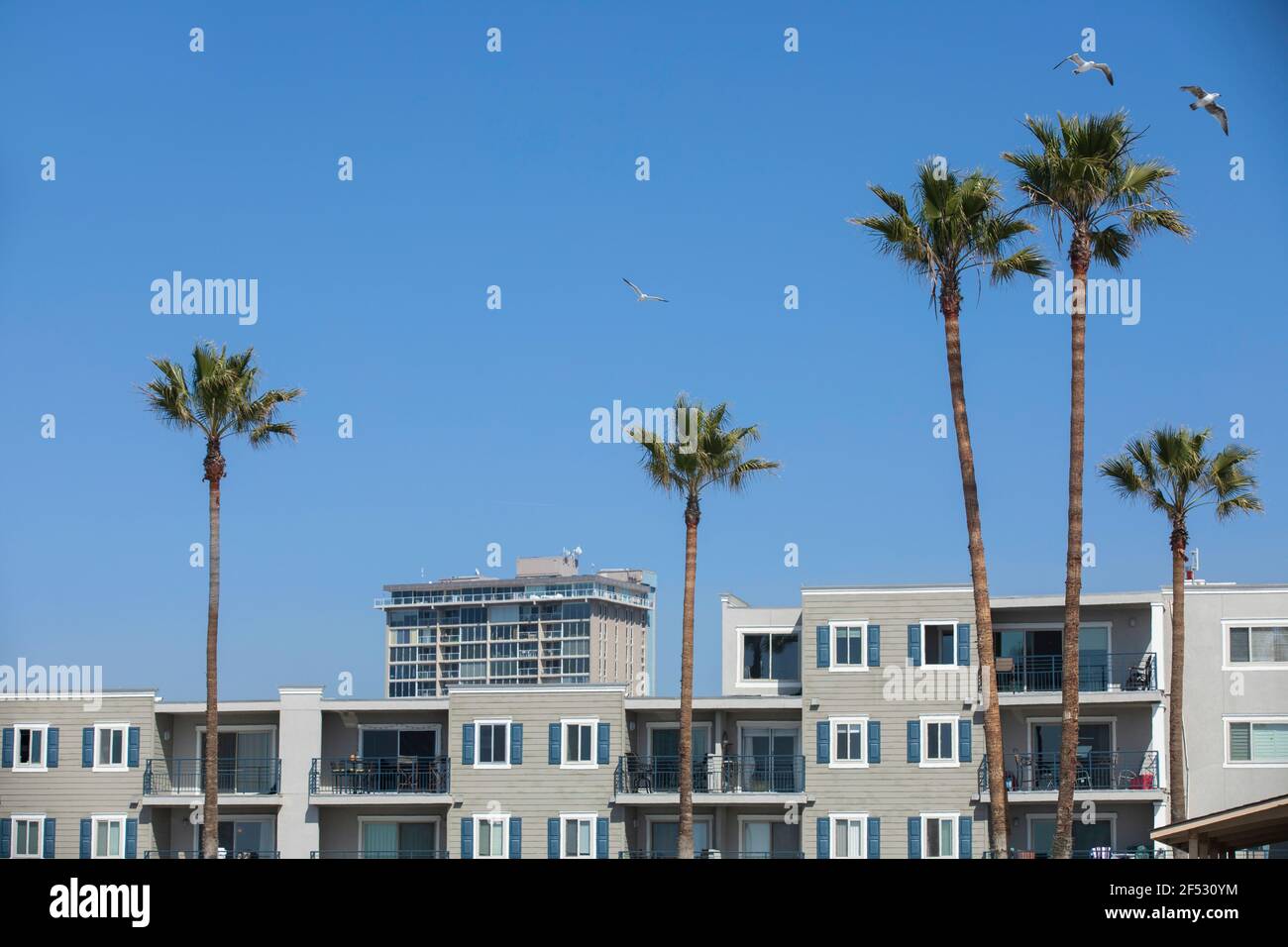 Palm tree lined view of downtown Oceanside, California, USA Stock Photo ...