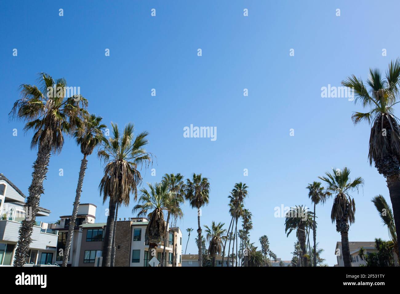 Palm tree lined view of downtown Oceanside, California, USA Stock Photo ...