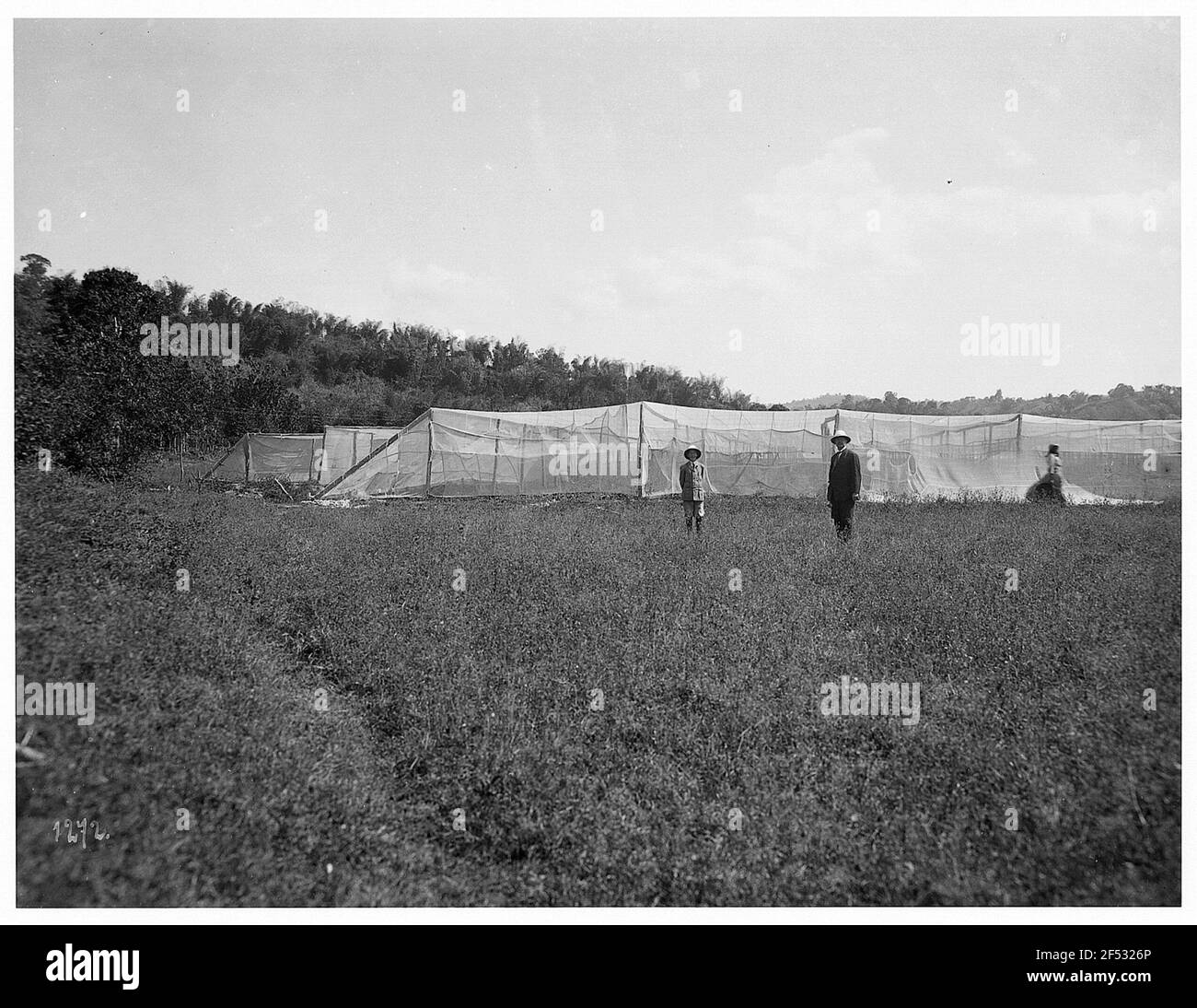 Agricultural fabric Black and White Stock Photos & Images - Alamy