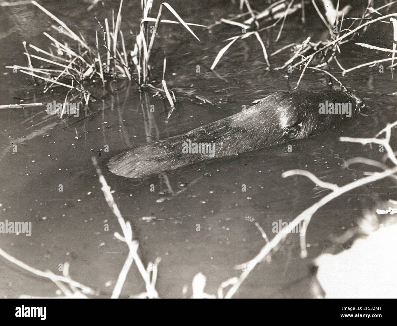 L floating hi-res stock photography and images - Alamy