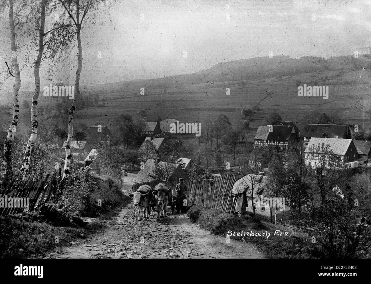 German ox team hi-res stock photography and images - Alamy