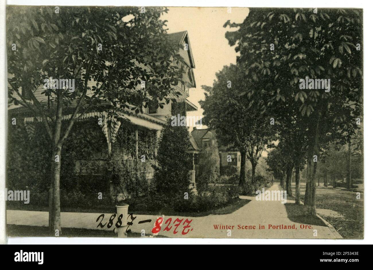 Winter Scene Portland, Oregon. Winter Scene Stock Photo - Alamy