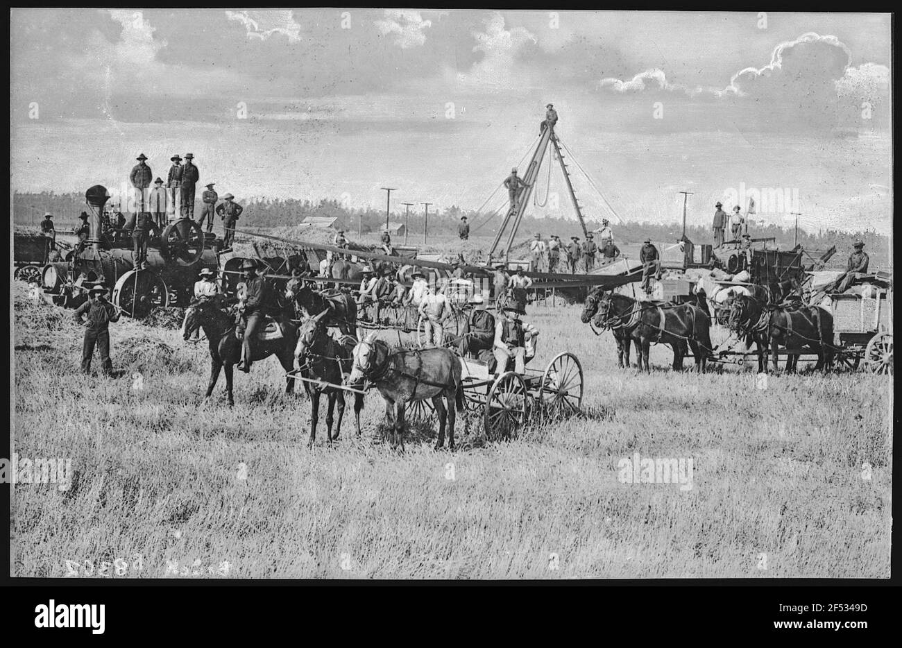 Bean threshing hi-res stock photography and images - Alamy