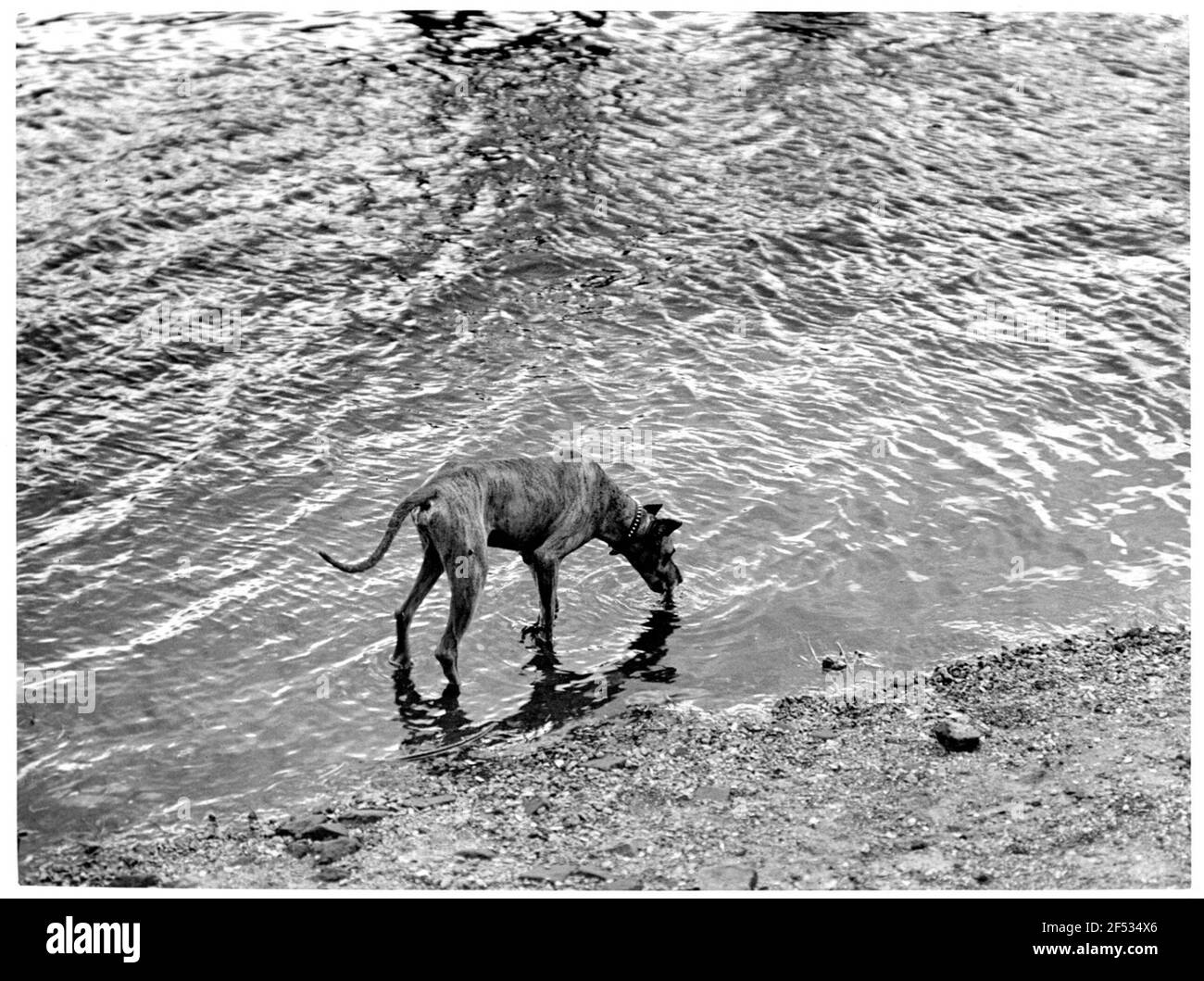 At the edge of water Cut Out Stock Images & Pictures - Alamy