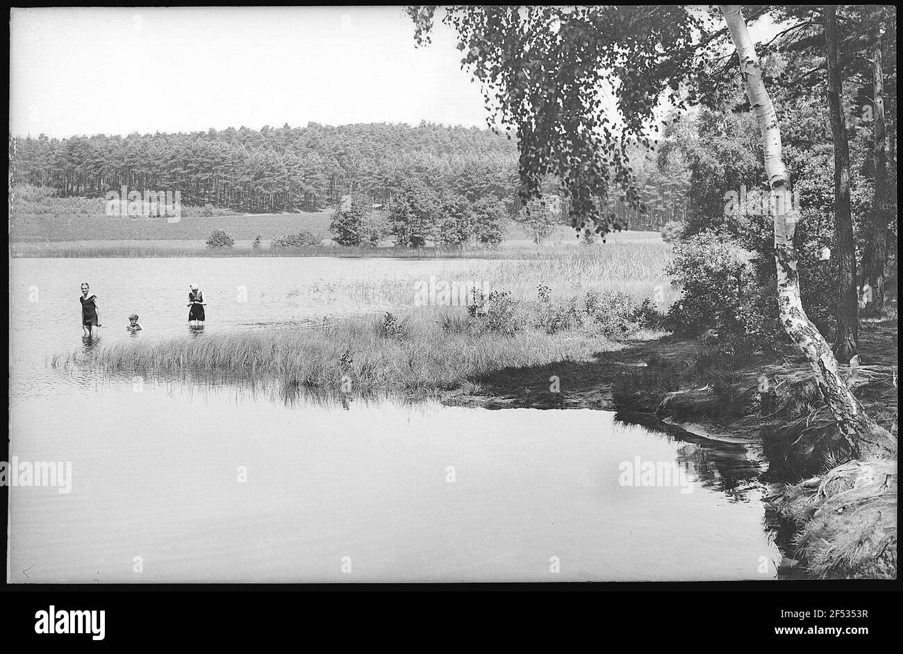 Forest and pond Black and White Stock Photos & Images - Alamy
