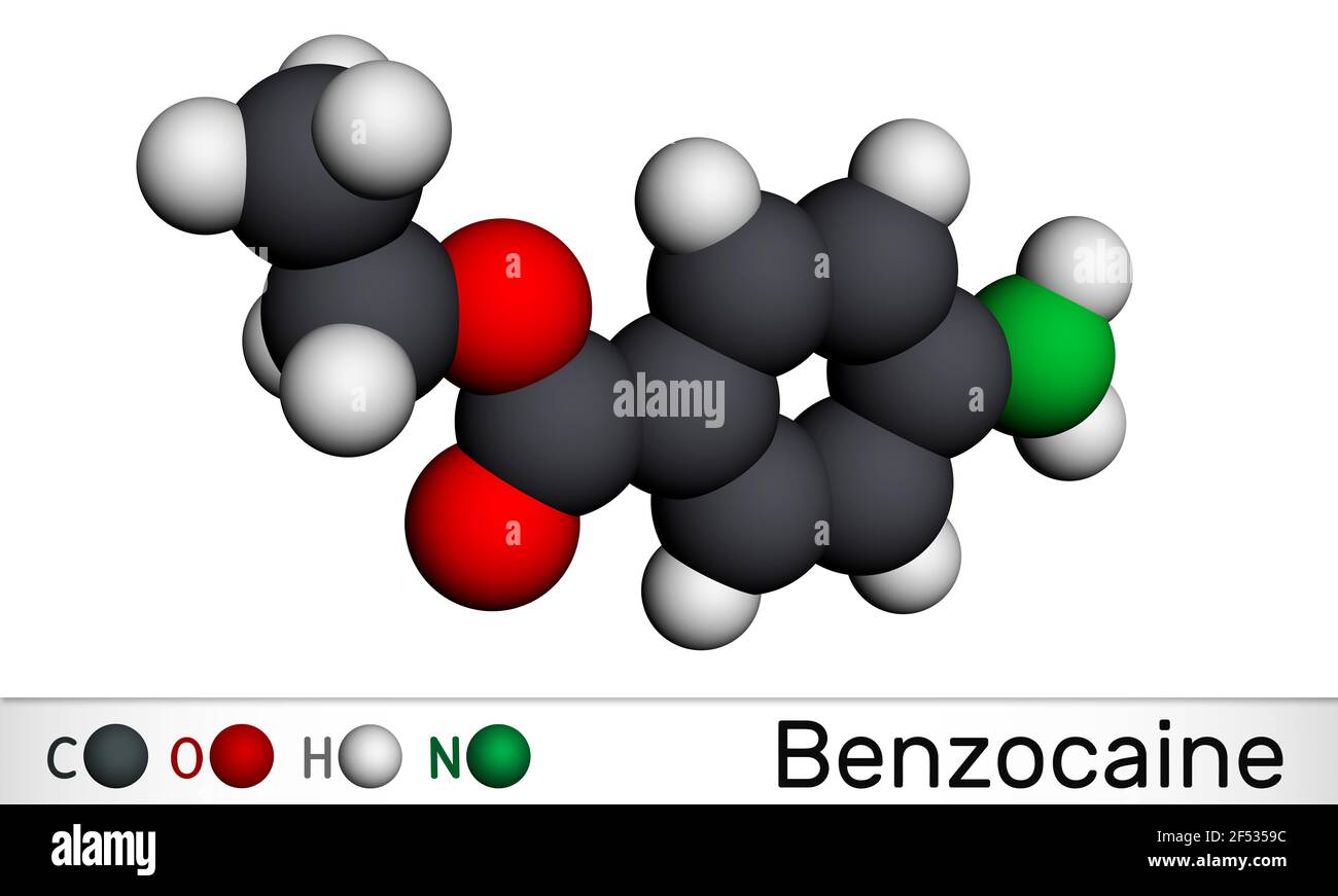 Benzocaine molecule. It is local anesthetic. Molecular model. 3D ...