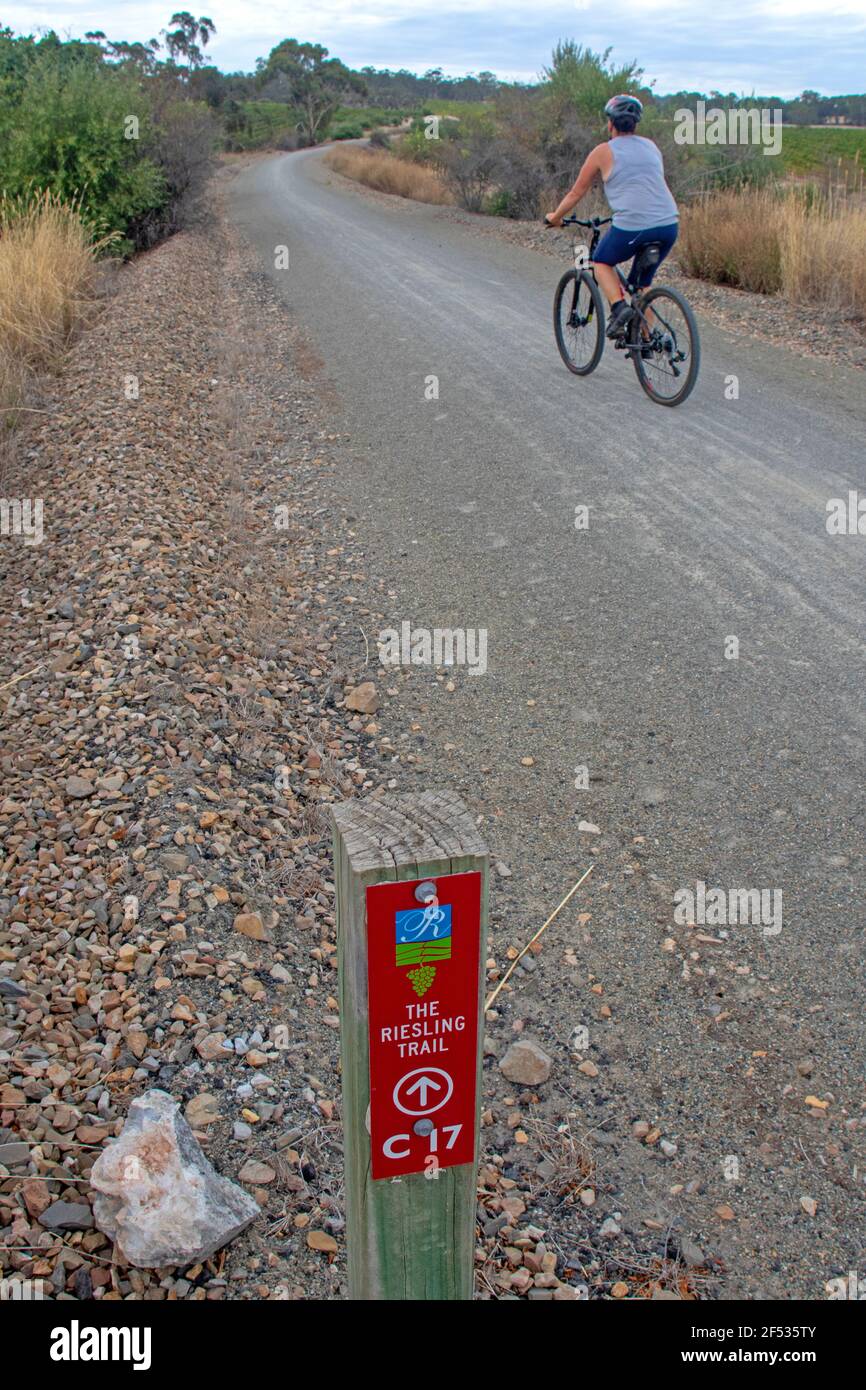 Cycling on the Riesling Trail through the Clare valley Stock Photo - Alamy