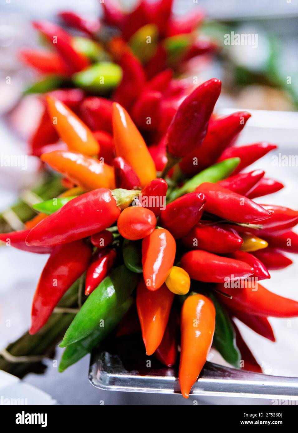 A group of different types and colors of chili pepper Stock Photo - Alamy