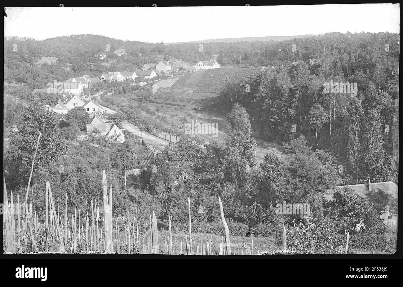 Diversity reason Black and White Stock Photos & Images - Alamy